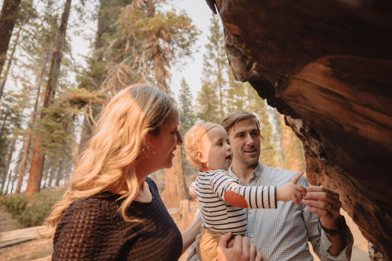 An Epic Sequoia Family Photoshoot at Grant Grove - alyssamichelephoto.net