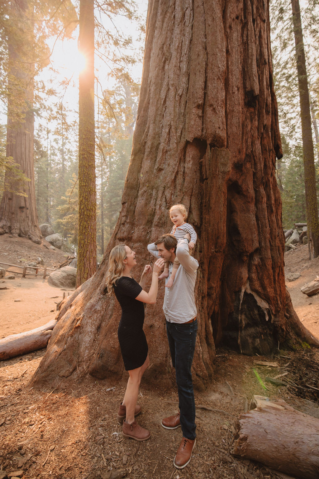 An Epic Sequoia Family Photoshoot at Grant Grove - alyssamichelephoto.net