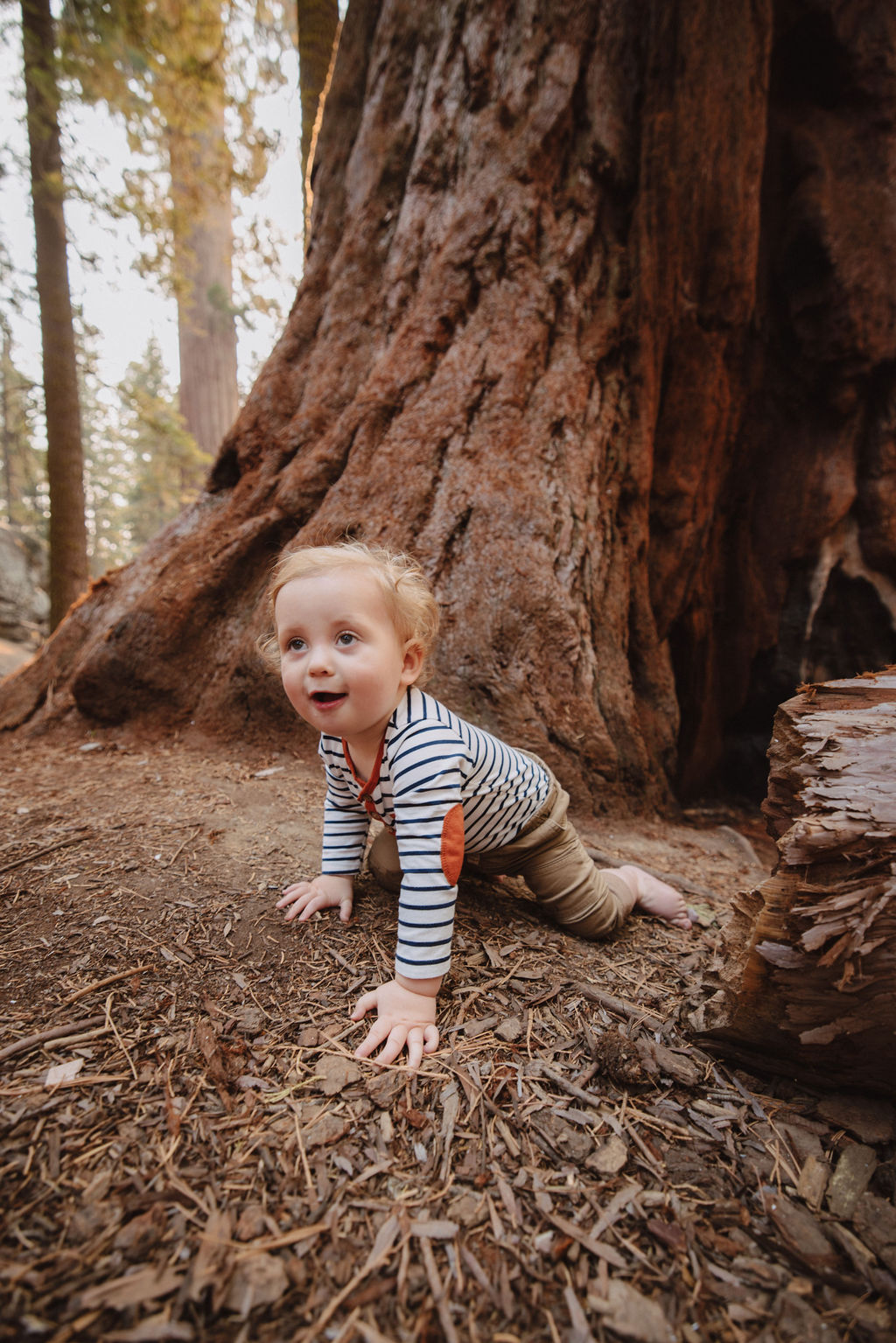 An Epic Sequoia Family Photoshoot at Grant Grove - alyssamichelephoto.net