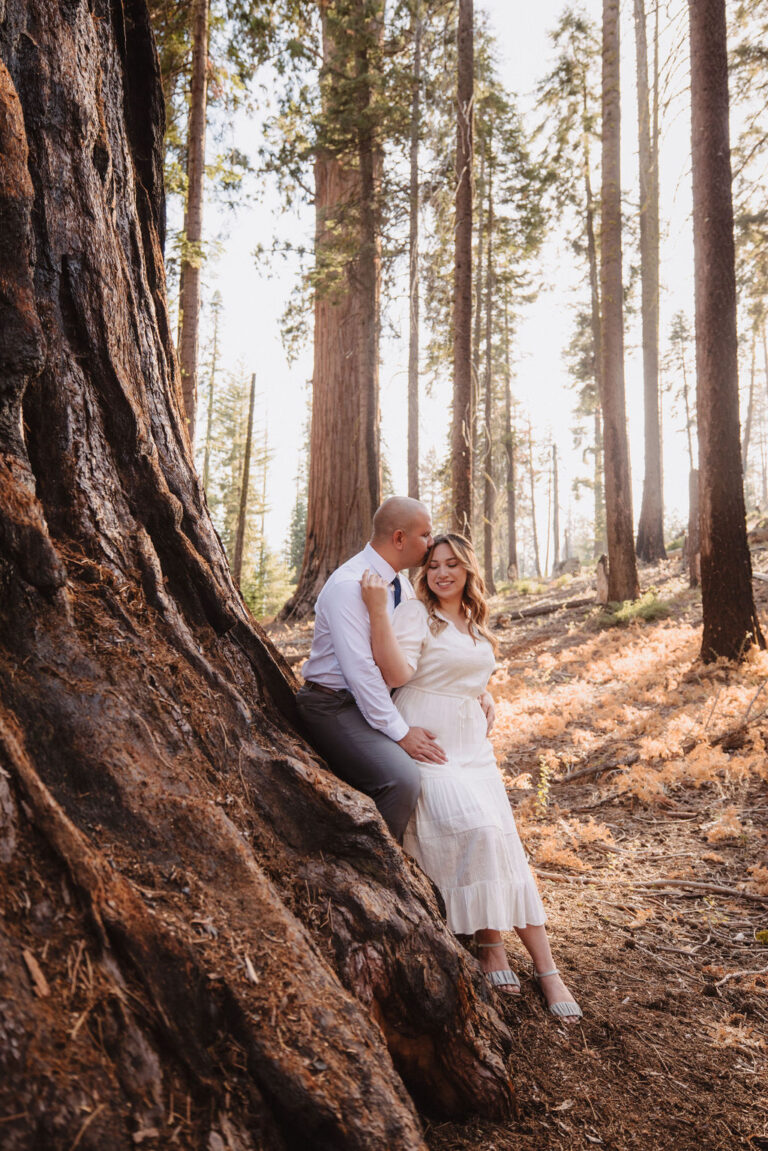 Beautiful Fall Engagement Photos in Sequoia - alyssamichelephoto.net