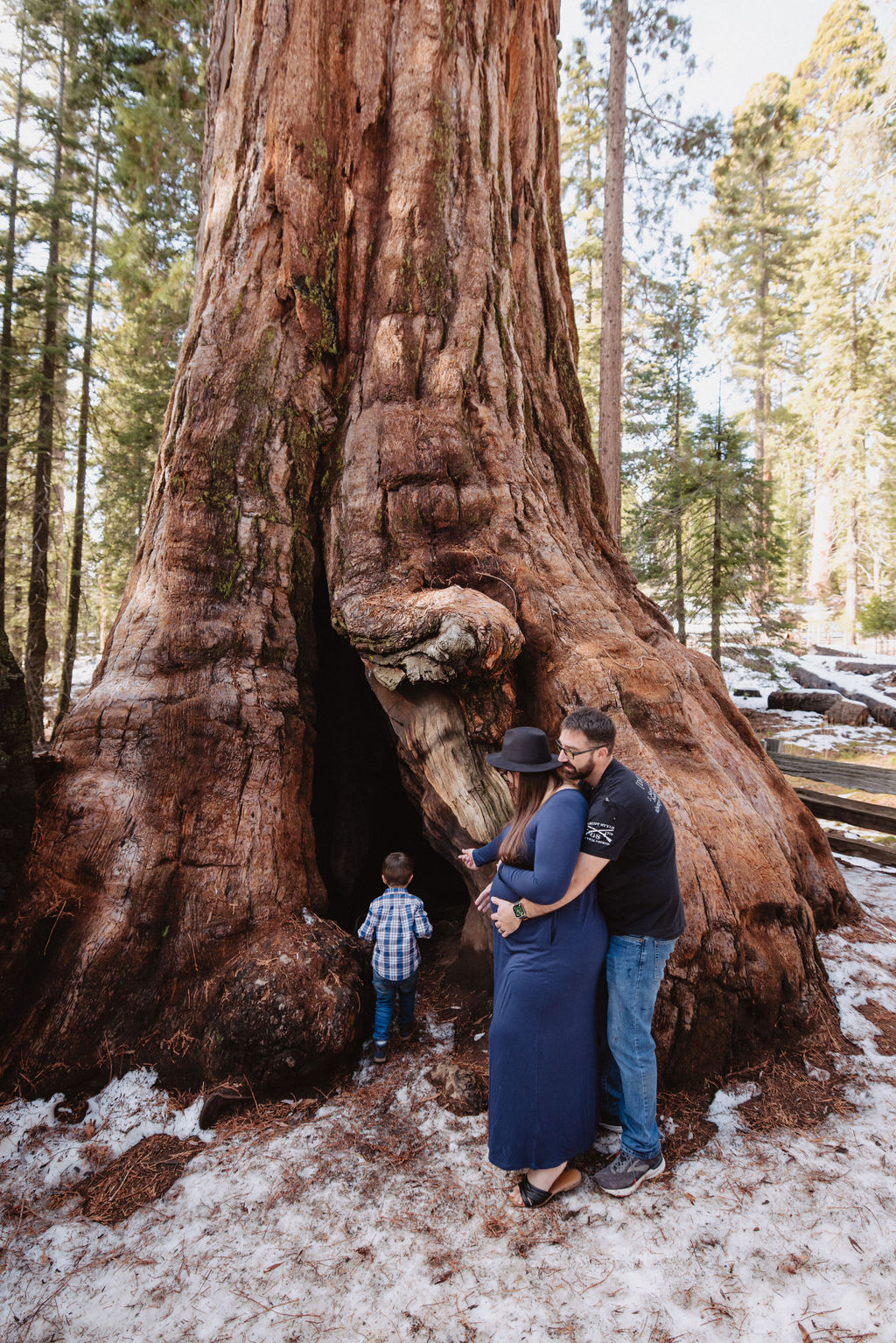 Sequoia Family Maternity Photos - alyssamichelephoto.net