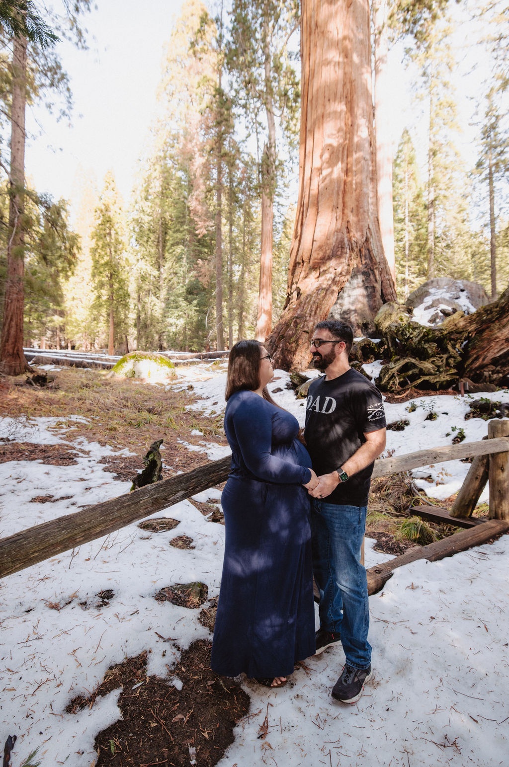 Sequoia Family Maternity Photos - alyssamichelephoto.net