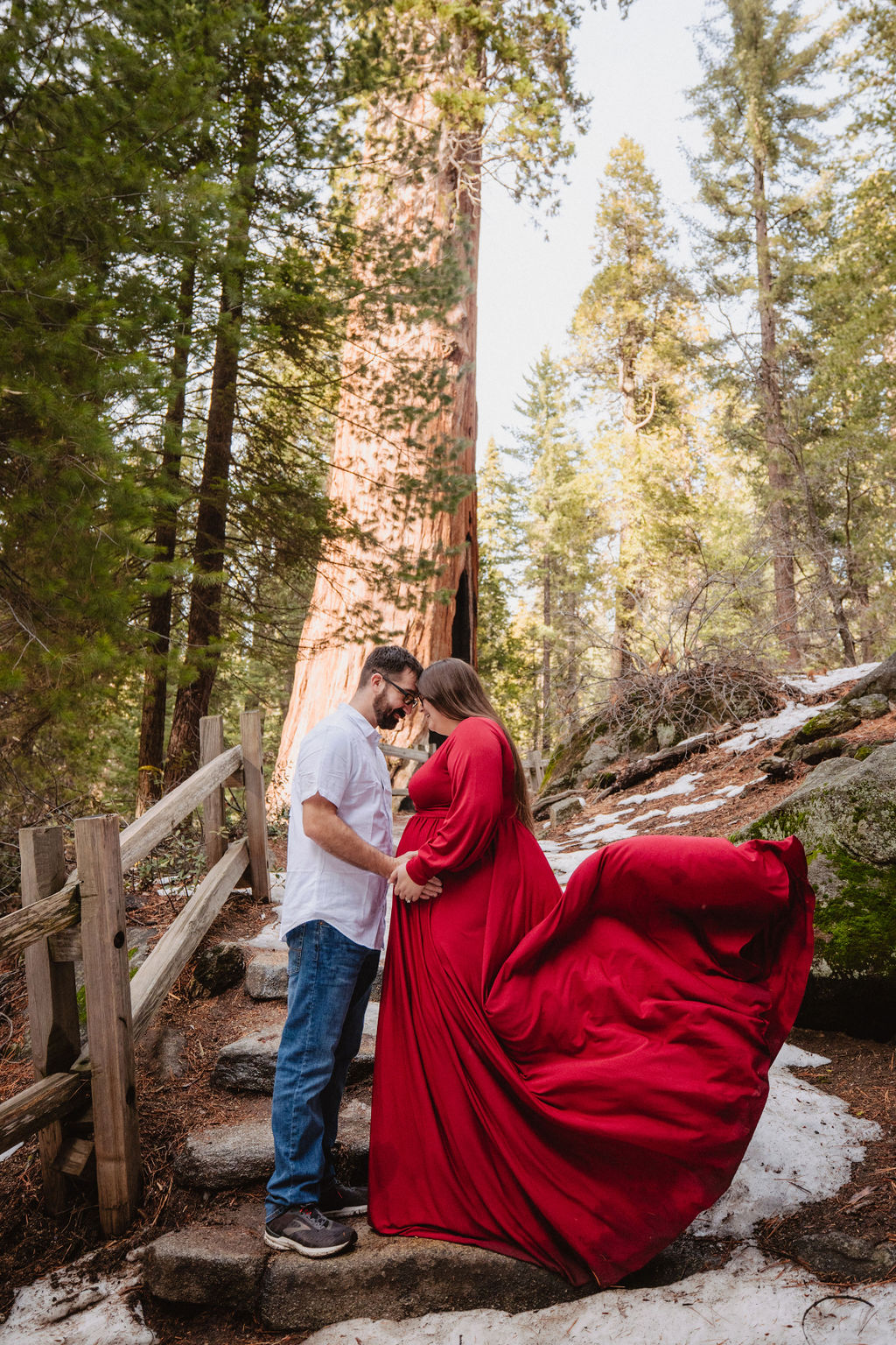 Sequoia Family Maternity Photos - alyssamichelephoto.net