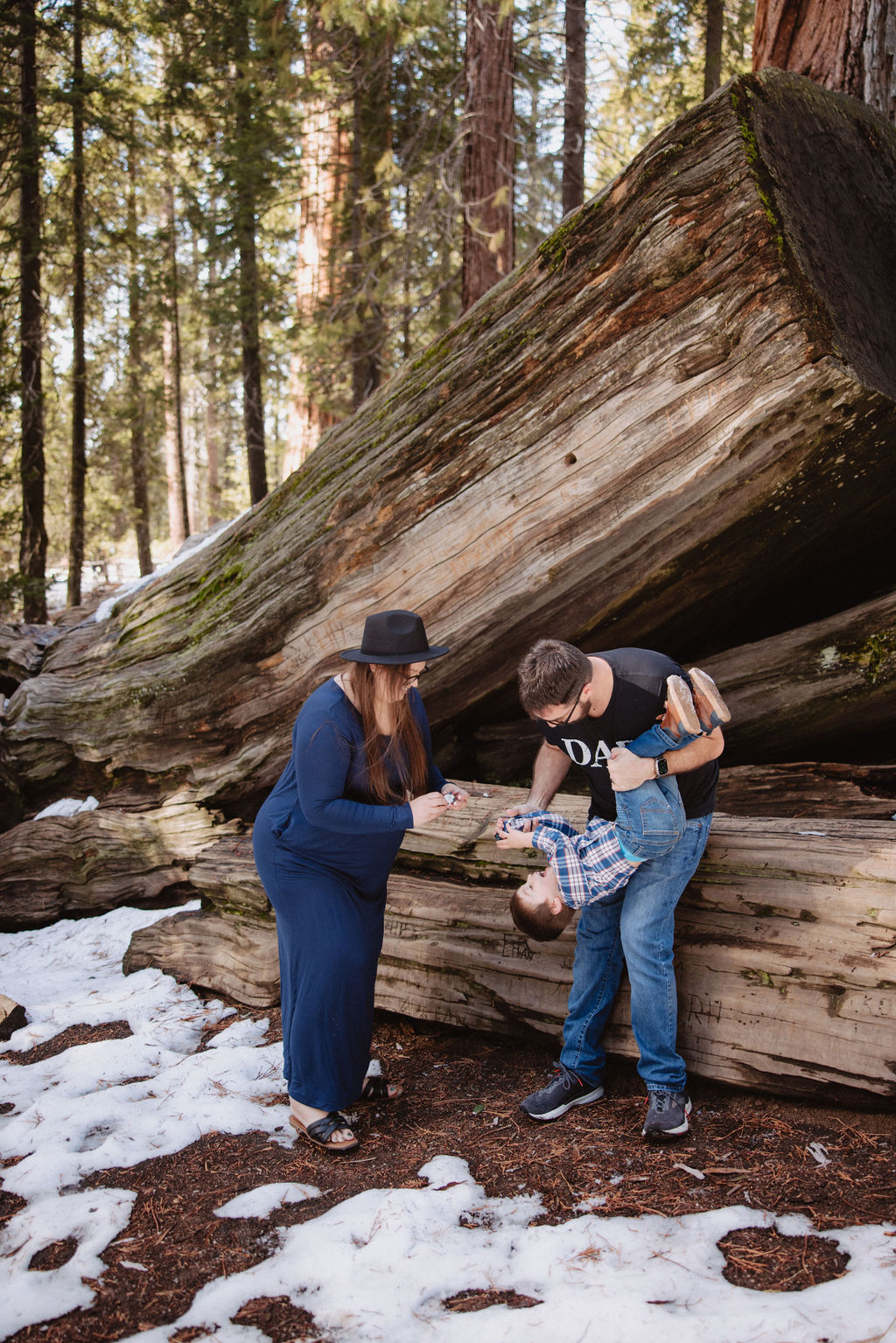 Sequoia Family Maternity Photos - alyssamichelephoto.net