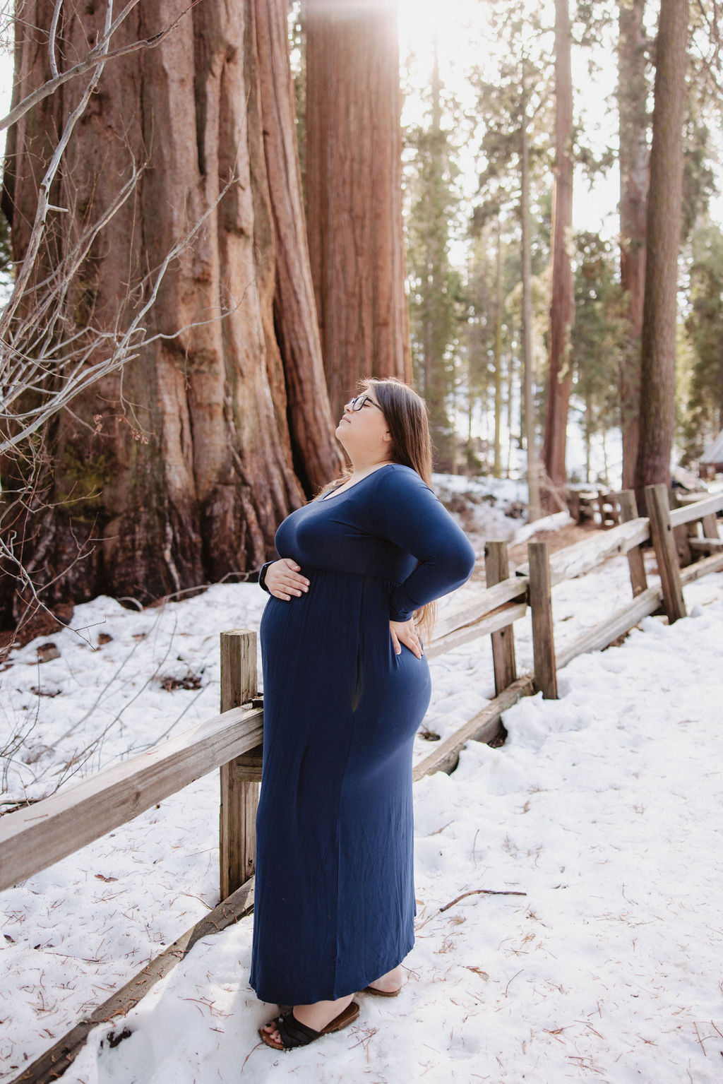 Sequoia Family Maternity Photos - alyssamichelephoto.net