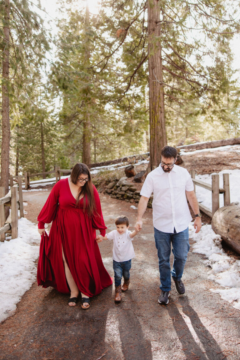 Sequoia Family Maternity Photos - alyssamichelephoto.net