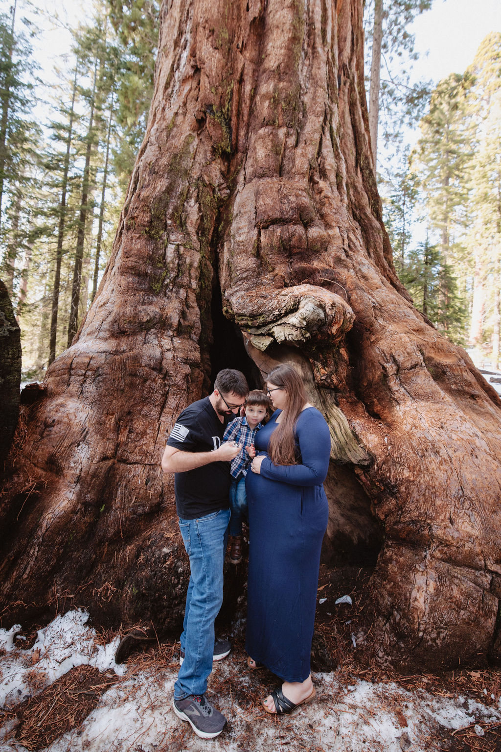 Sequoia Family Maternity Photos - alyssamichelephoto.net